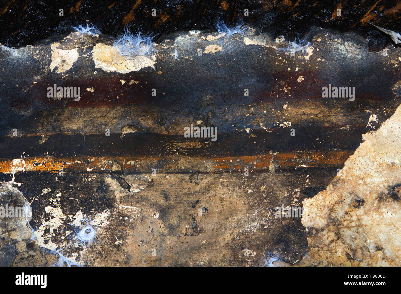 Frescoes of the rock church of San Pietro a Buscemi, Syracuse, Sicily ...