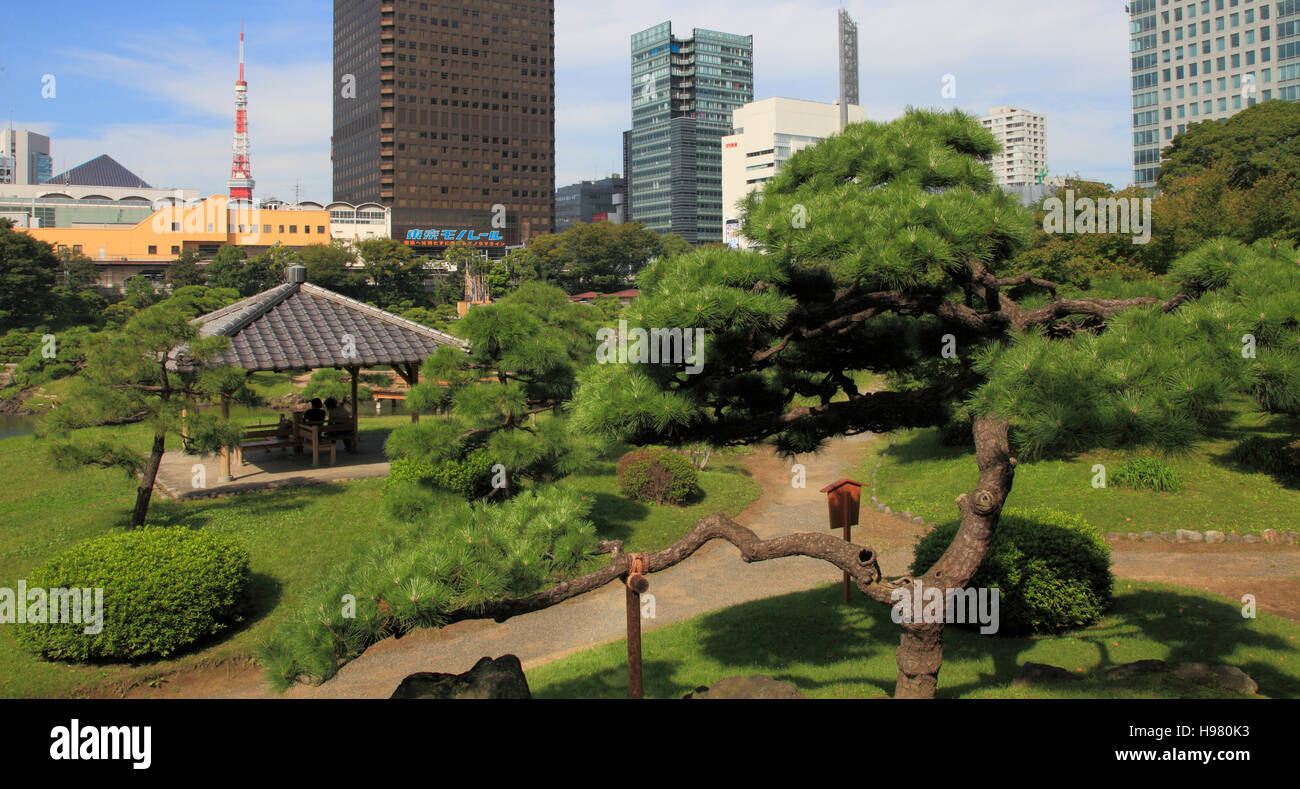 Japan, Tokyo, Kyu Shiba Rikyu Garden, japanese pine Stock Photo - Alamy