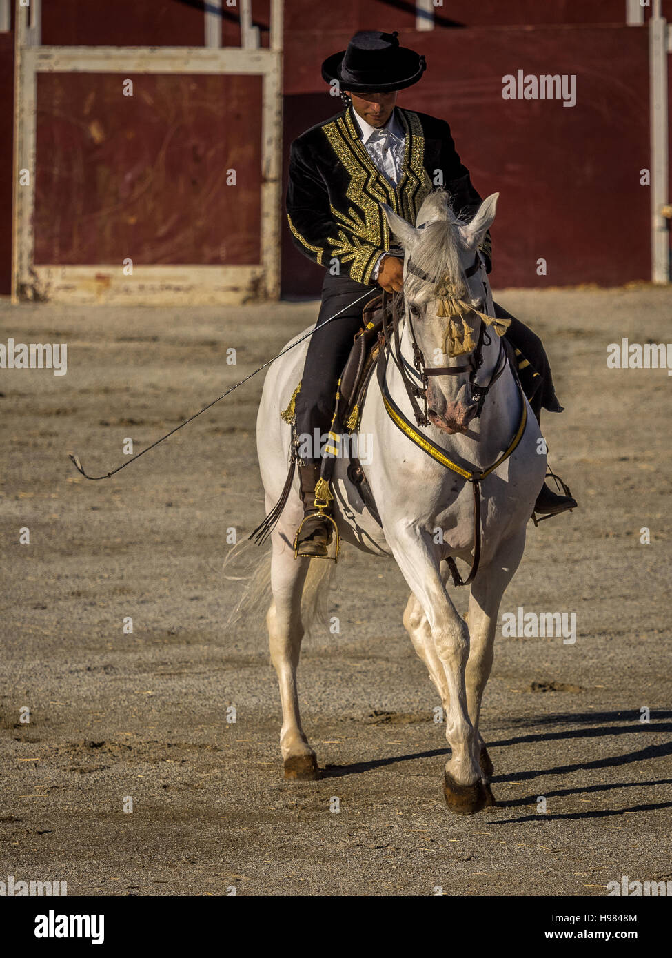 Spanish horse riding display hi-res stock photography and images - Alamy