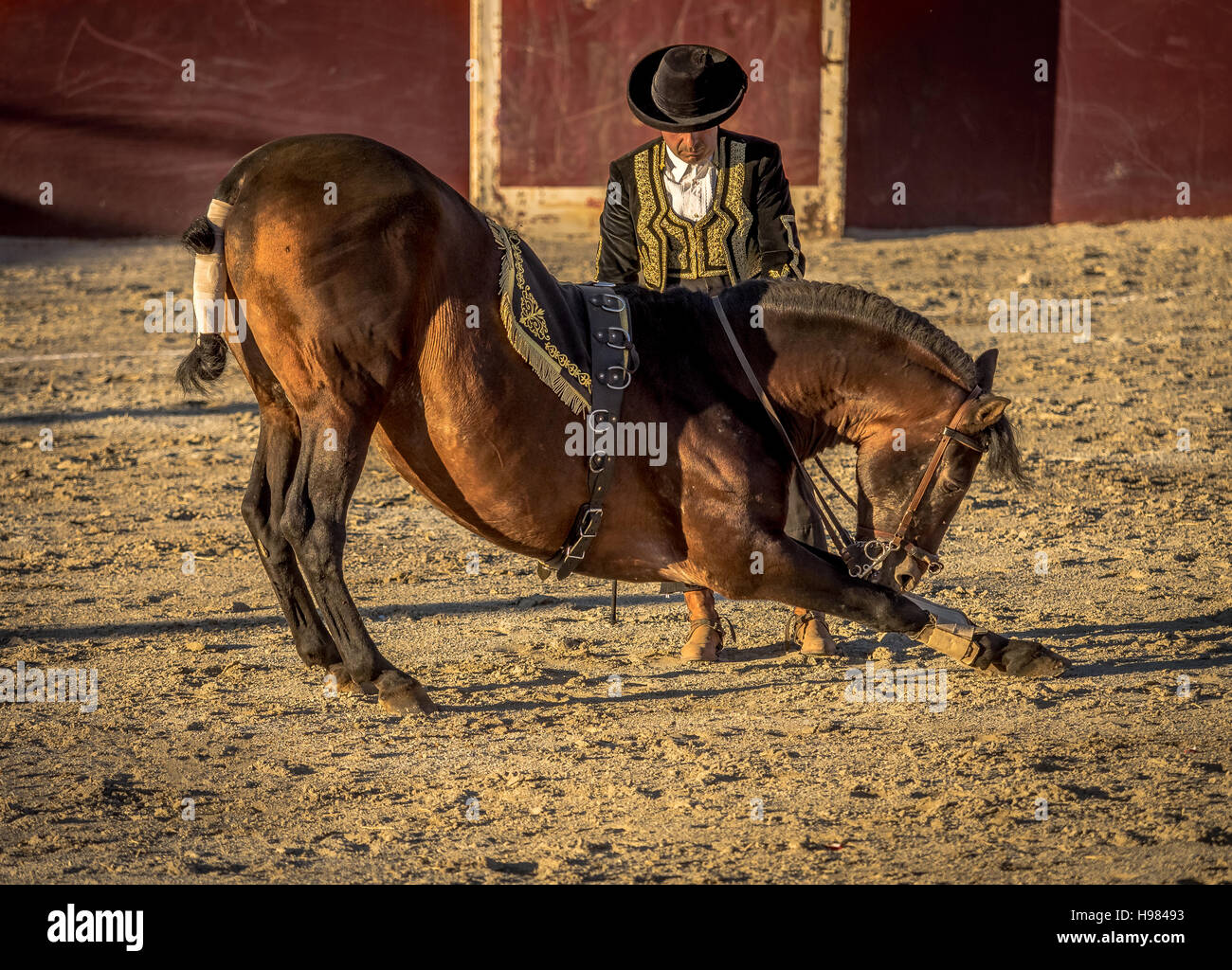 Spanish horse riding display hi-res stock photography and images - Alamy