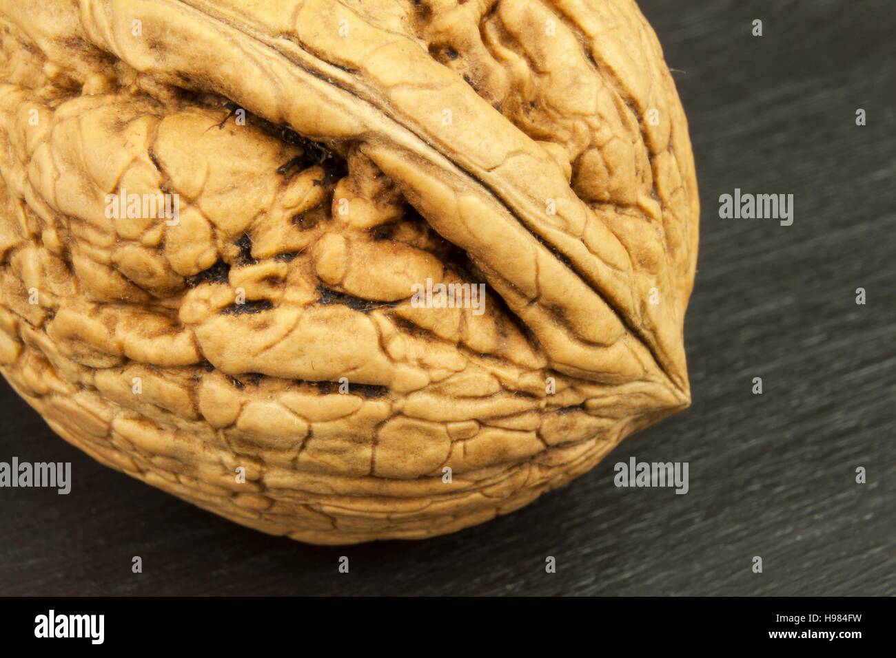 Detailed view of the structure of the shell of a walnut. Super foods ...