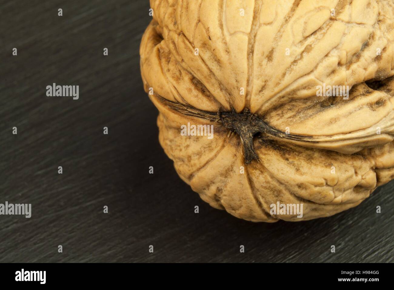 Detailed view of the structure of the shell of a walnut. Super foods ...