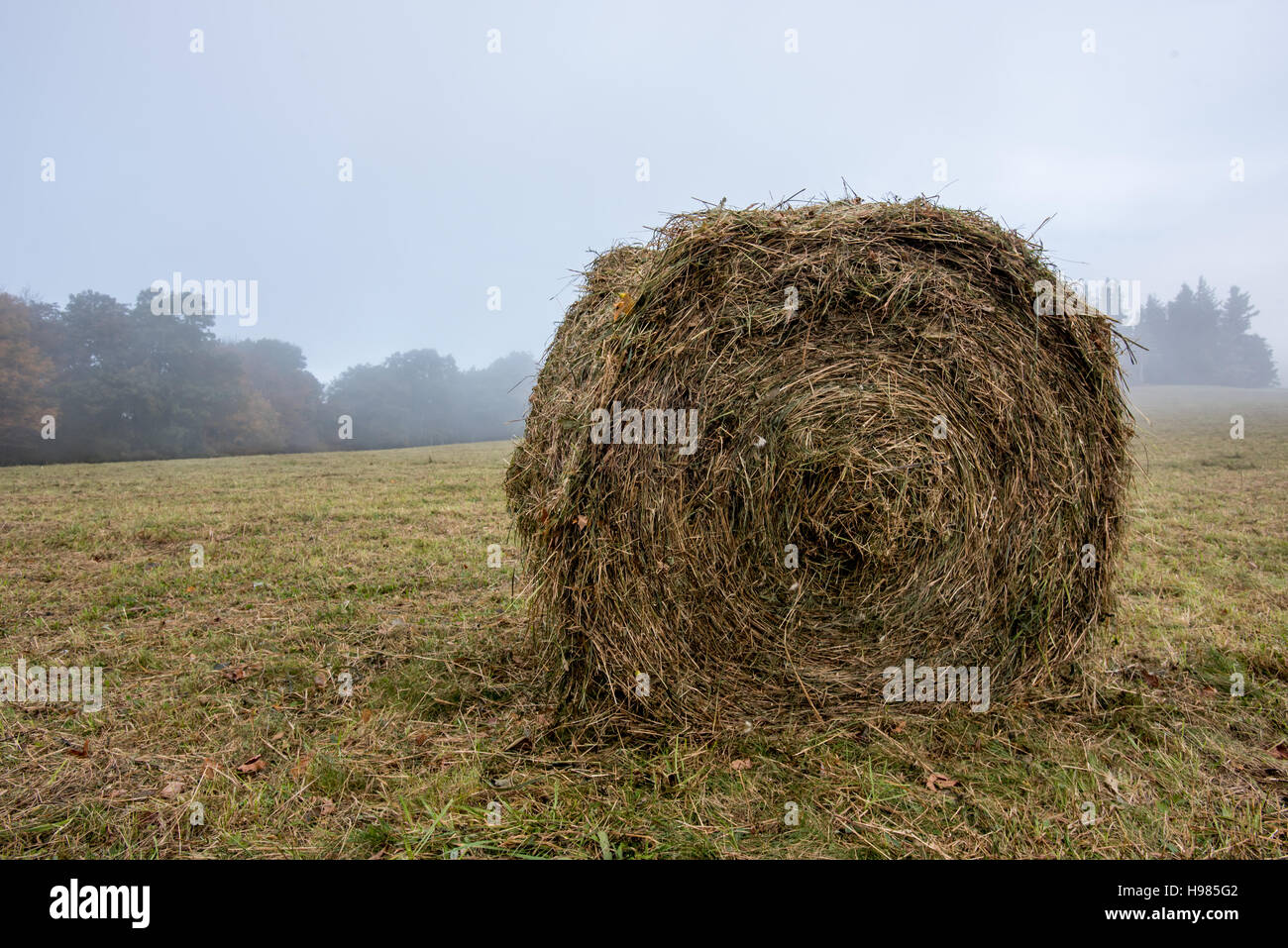 Round Bail of Hay in Foggy Autumn Field in fall Stock Photo - Alamy