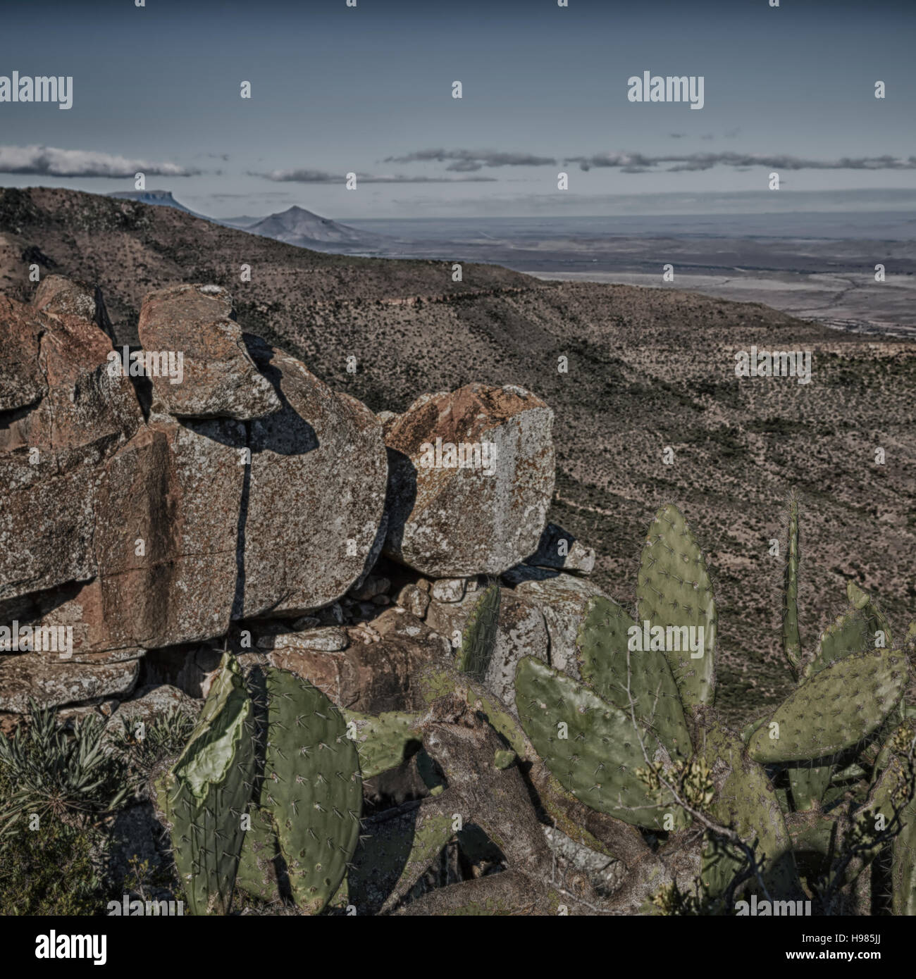 blur in south africa valley of desolation dirty road rock tree and sky ...