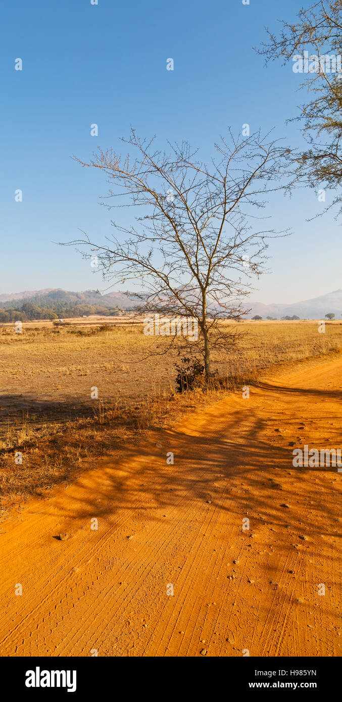 blur in swaziland mlilwane wildlife nature reserve mountain and tree ...