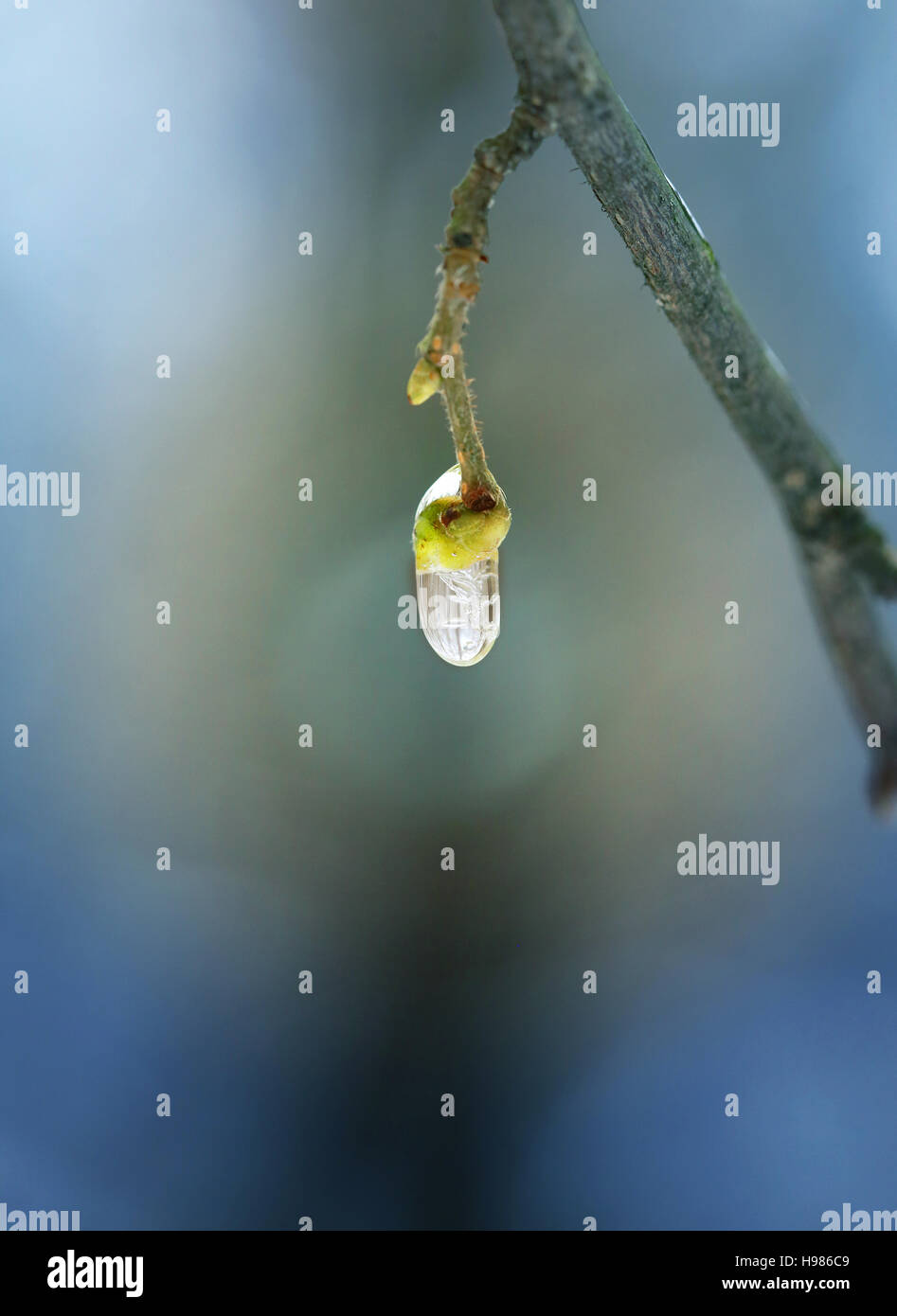 Frozen water motion hi-res stock photography and images - Alamy