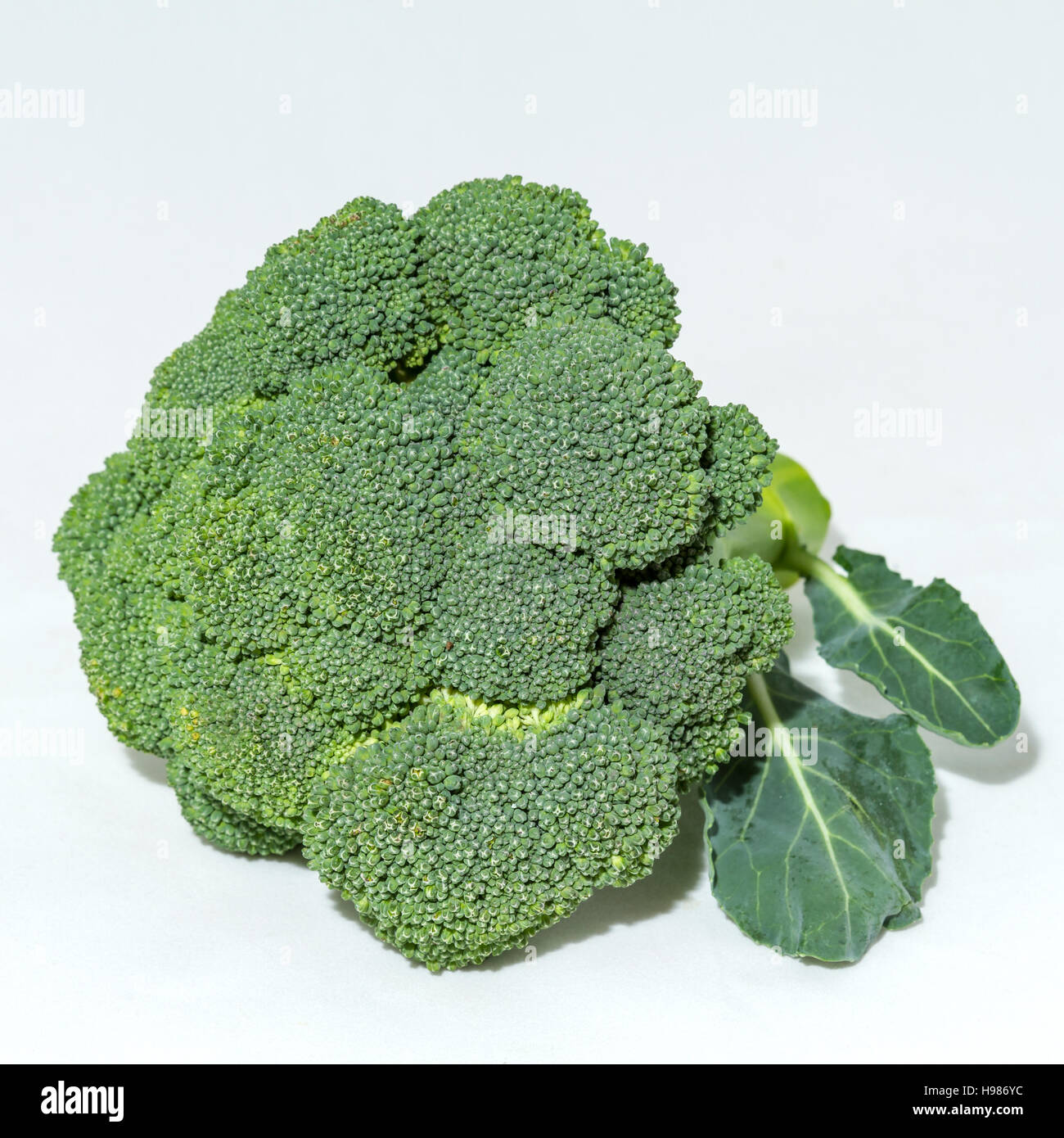 green florets of broccoli on white background Stock Photo - Alamy