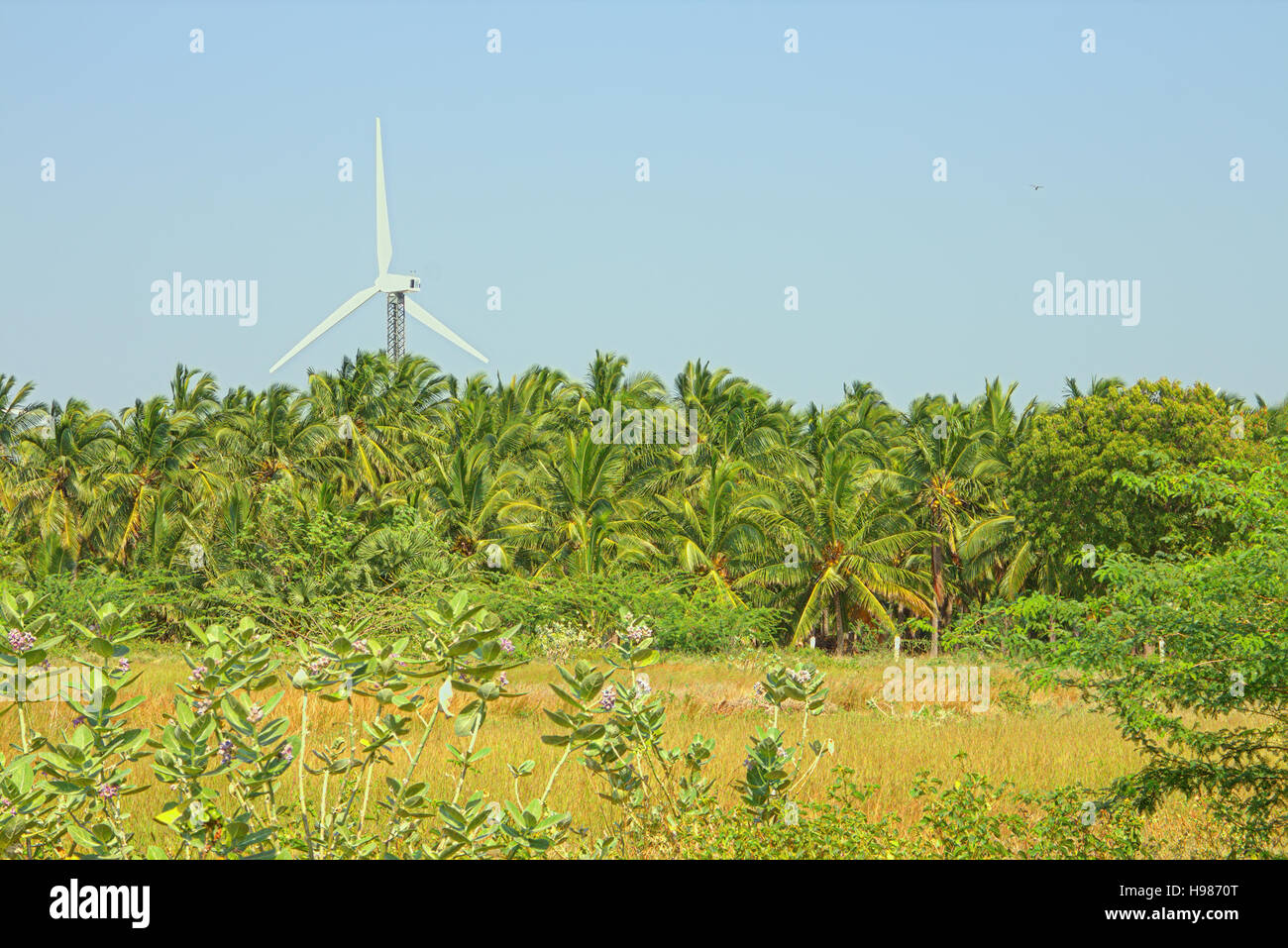 Alternative energy sources 8. Wind farm in Indian province of Kerala ...