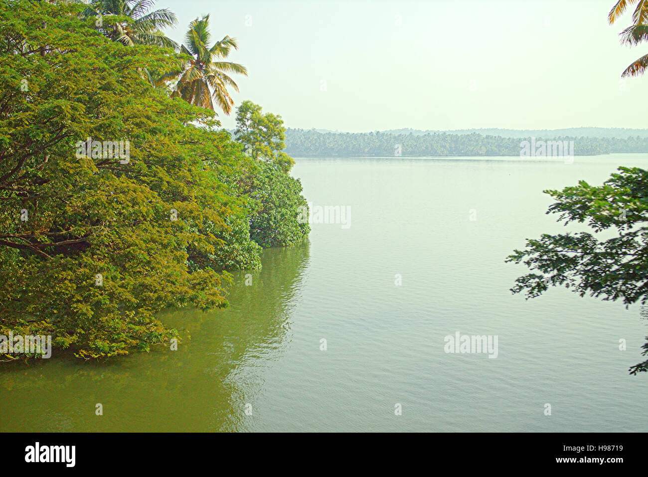 river in the jungle in an exotic place in Asia Stock Photo - Alamy