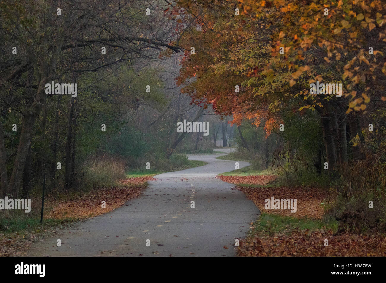 Fall walking path hi-res stock photography and images - Alamy