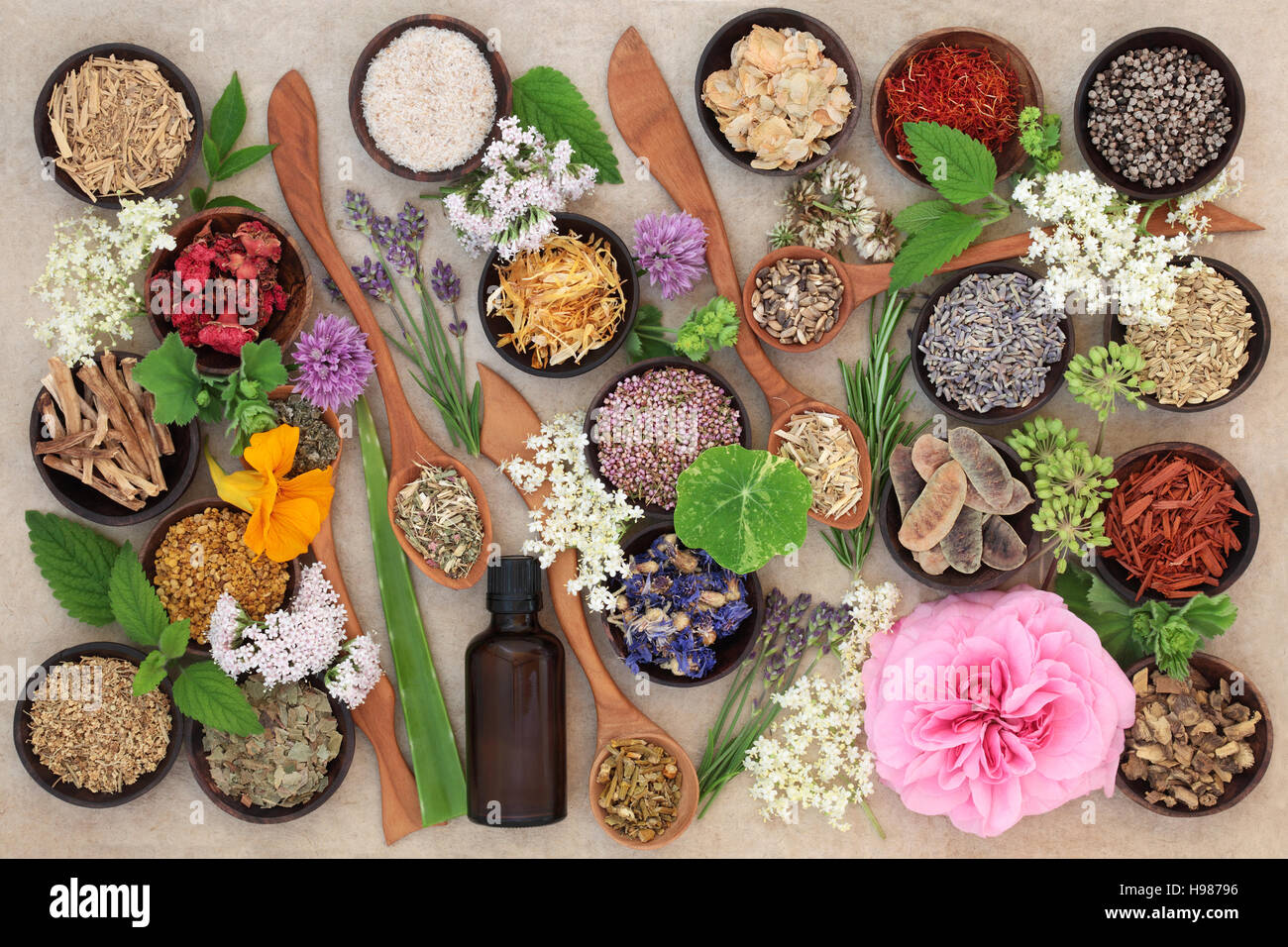 Flower and herb selection used in natural alternative herbal medicine ...