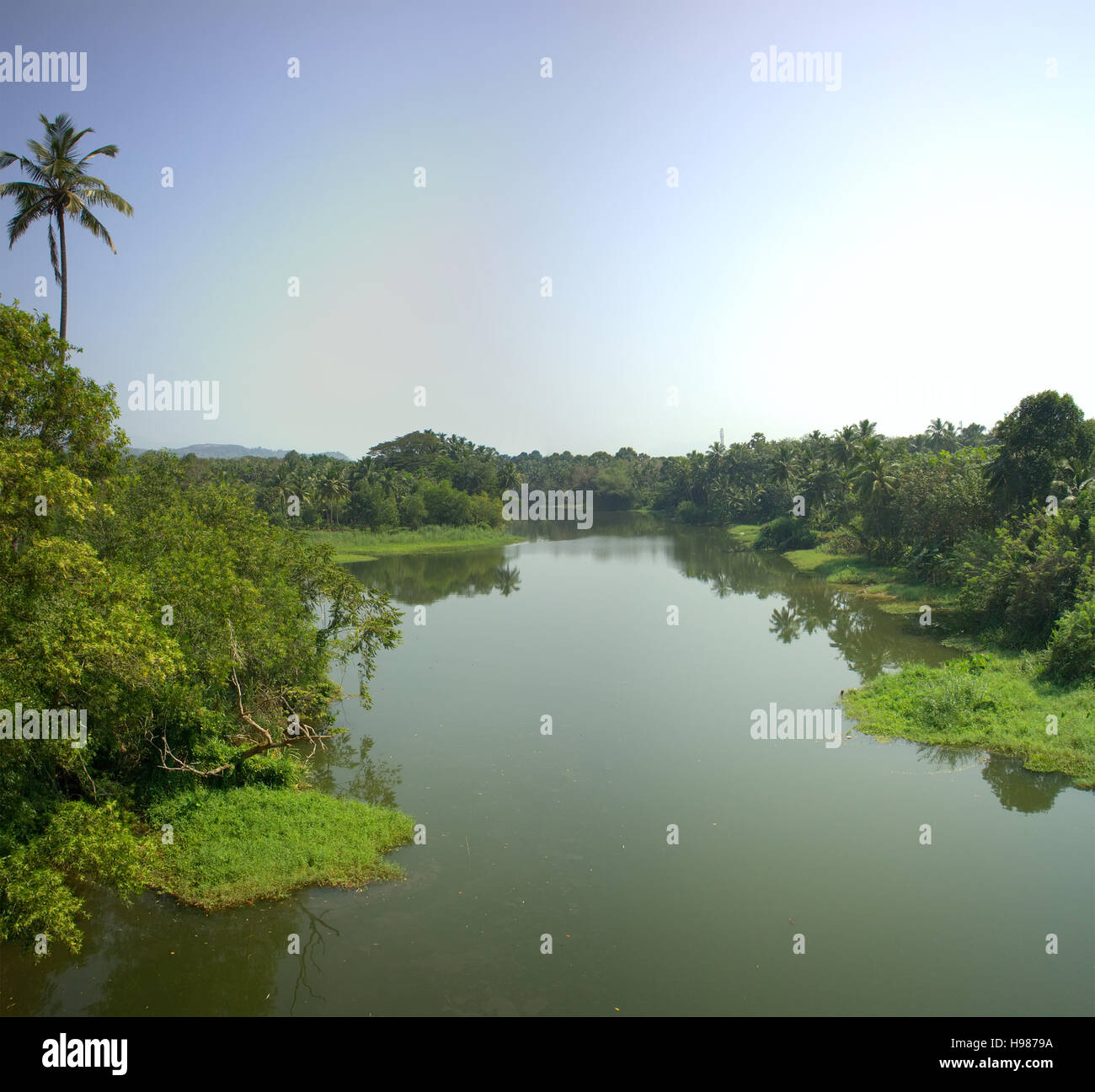 river in the jungle in an exotic place in Asia Stock Photo - Alamy