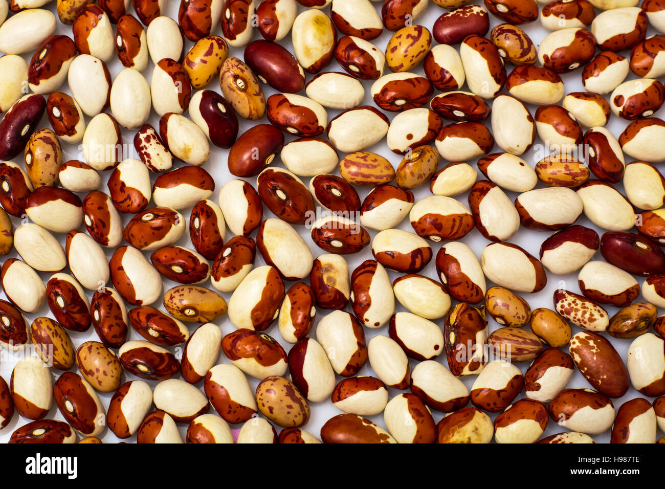 Dried White Beans Isolated on White. Studio Photo Stock Photo - Alamy