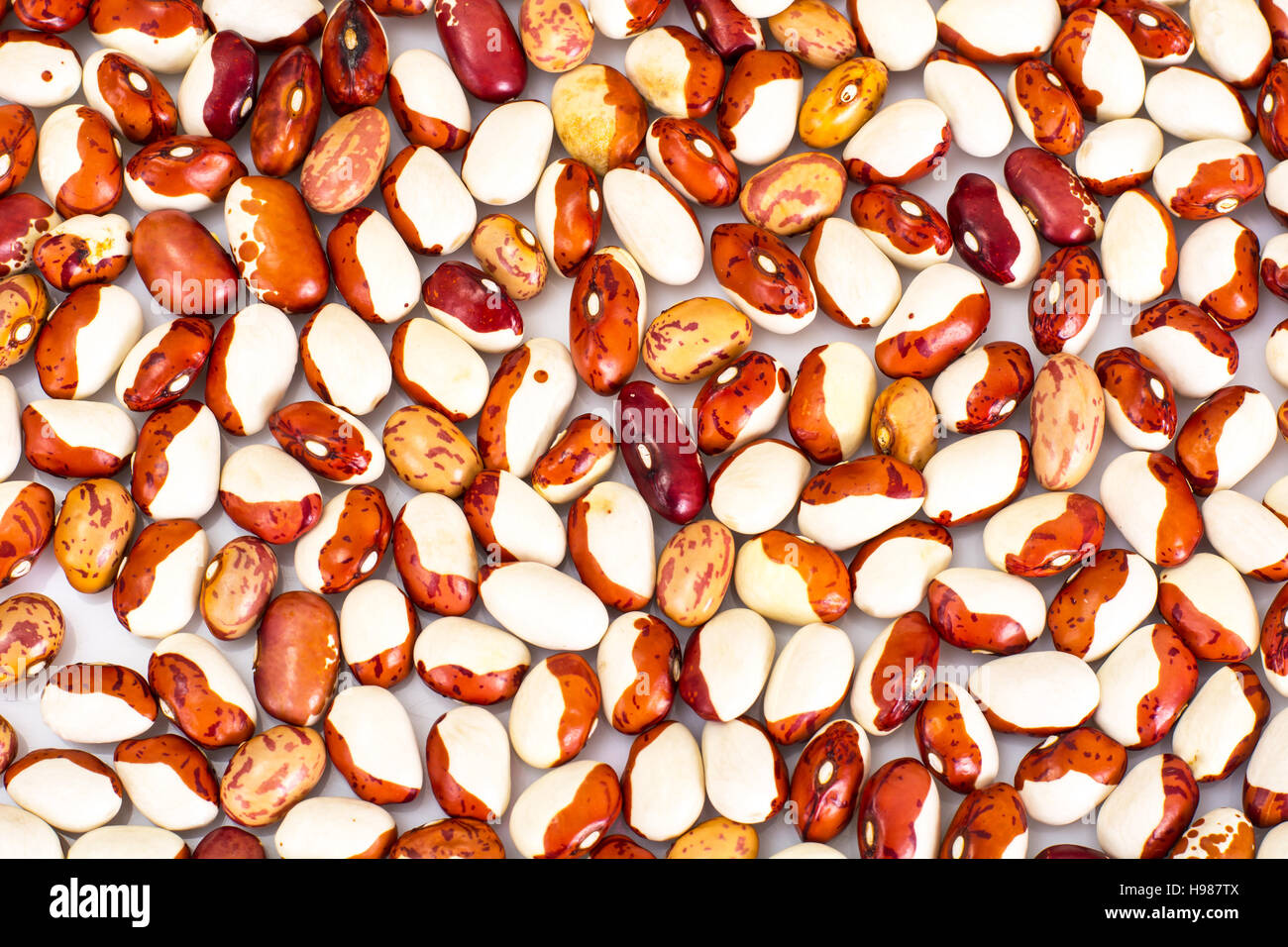 Dried White Beans Isolated on White. Studio Photo Stock Photo - Alamy