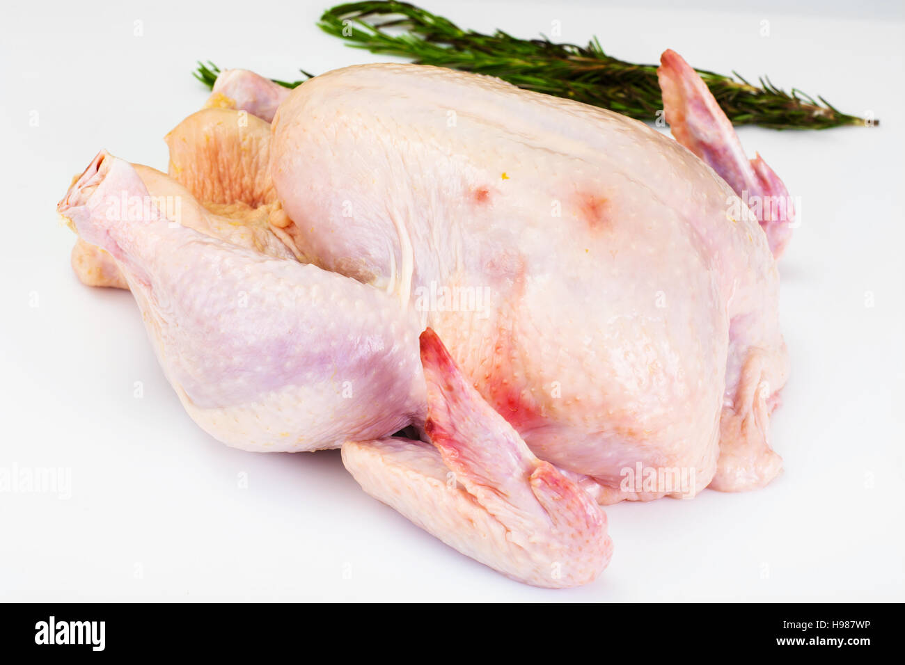 The Split Carcass of Raw Chicken. Isolated on White. Studio Photo Stock ...