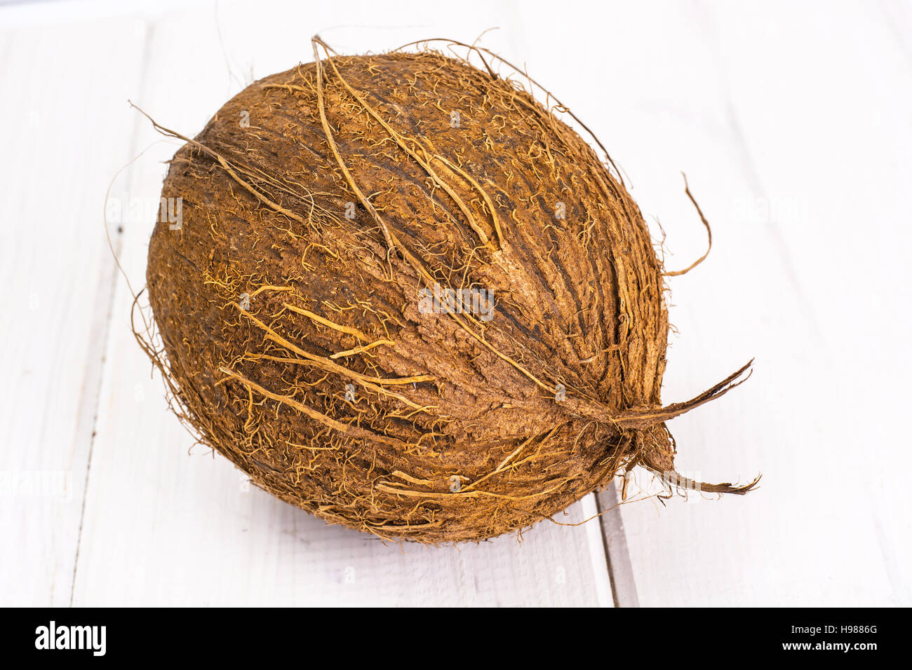 Big brown ripe coconut Isolated. Studio Photo Stock Photo - Alamy