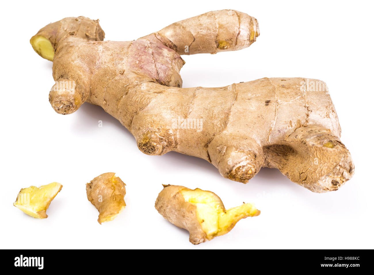 Fleshy fragrant ginger root Isolated. Studio Photo Stock Photo - Alamy