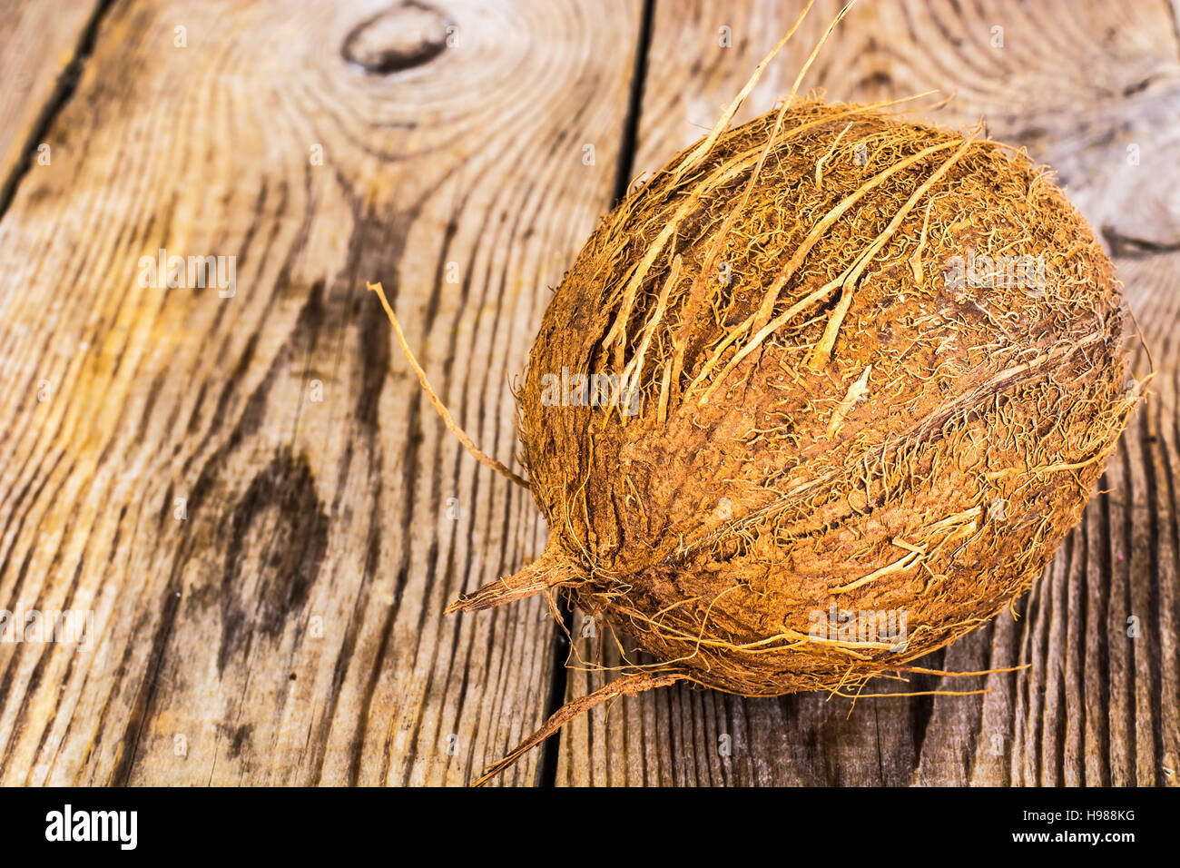 Big brown ripe coconut Isolated. Studio Photo Stock Photo - Alamy