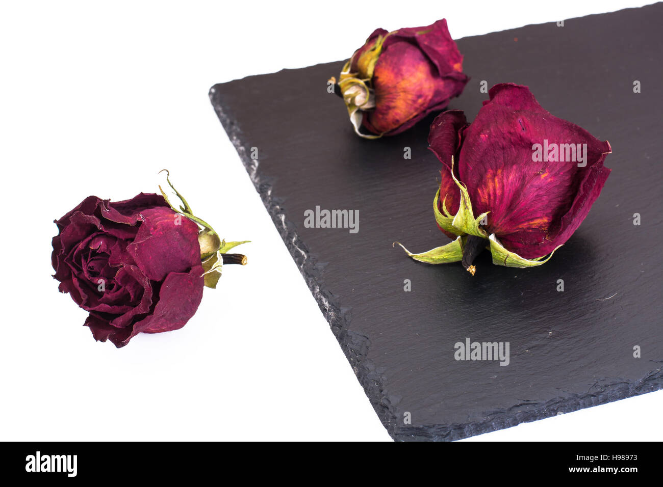 Dry Rose on White Background Studio Photo Stock Photo - Alamy