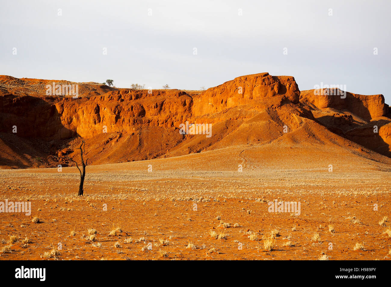 Namib desert landscape, Namibia Stock Photo - Alamy
