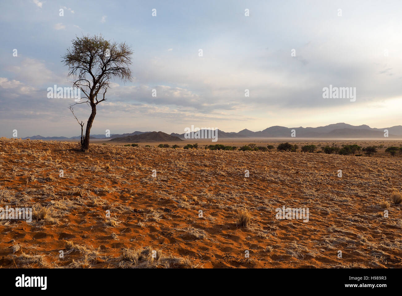 Namib desert landscape, Namibia Stock Photo - Alamy