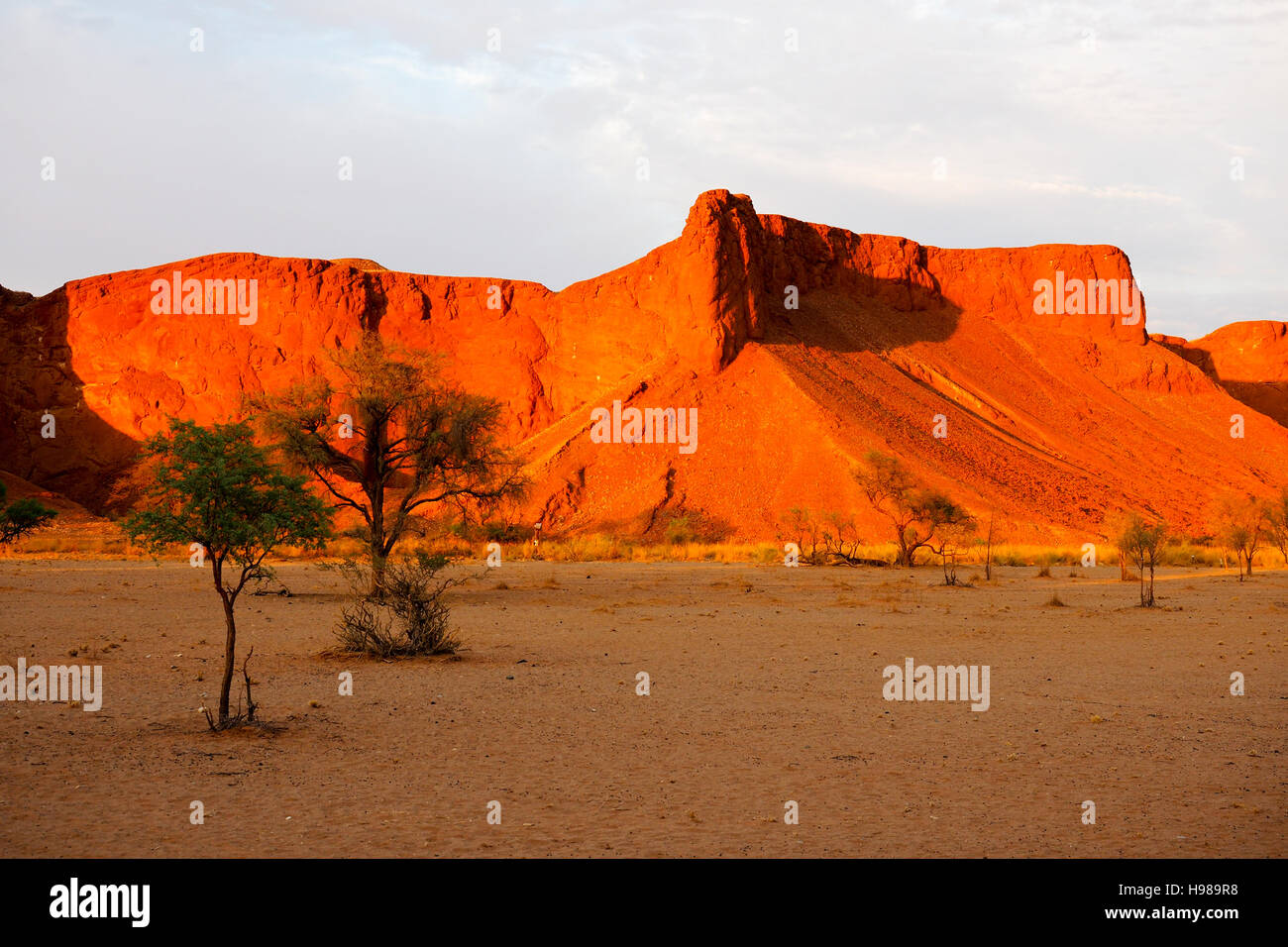 Namib desert landscape, Namibia Stock Photo - Alamy