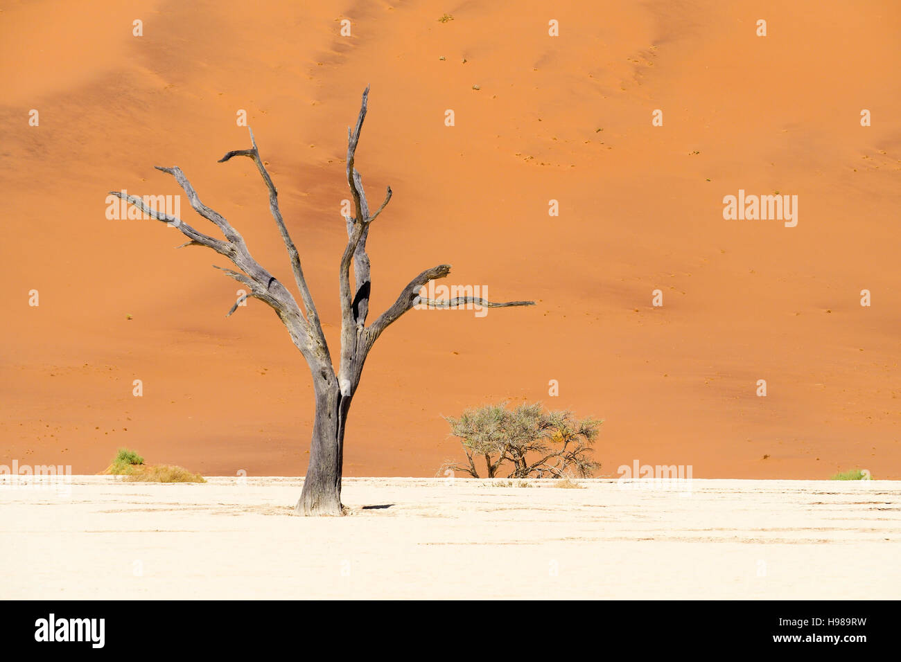 Dead Vlei, Namib desert, Namibia Stock Photo - Alamy