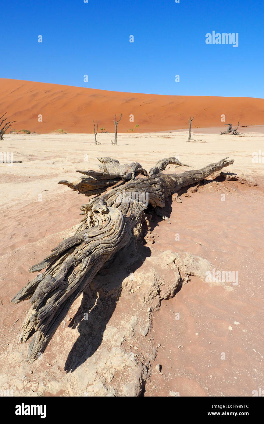 Dead Vlei, Namib desert, Namibia Stock Photo - Alamy