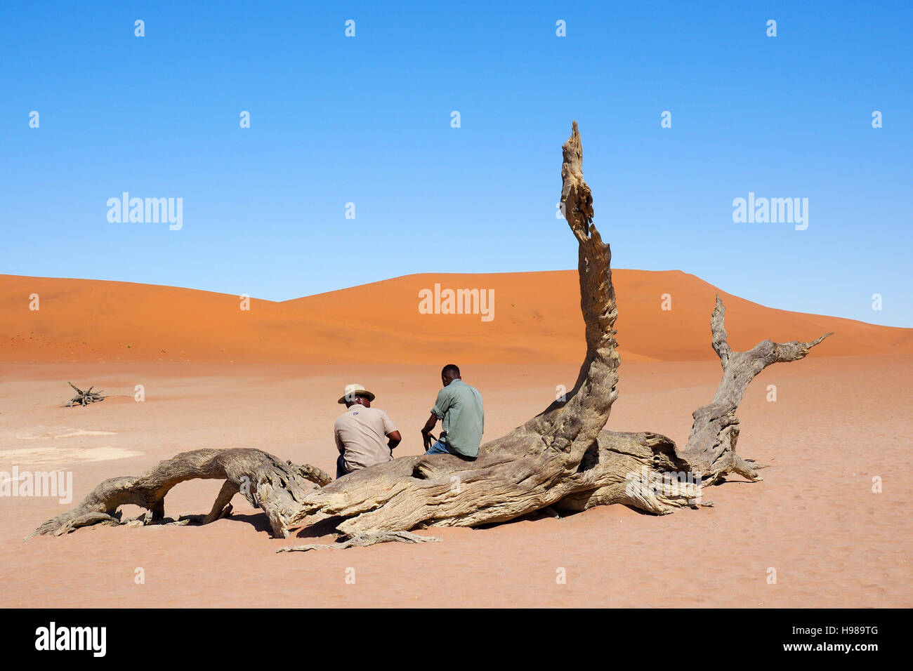 Dead Vlei, Namib desert, Namibia Stock Photo - Alamy