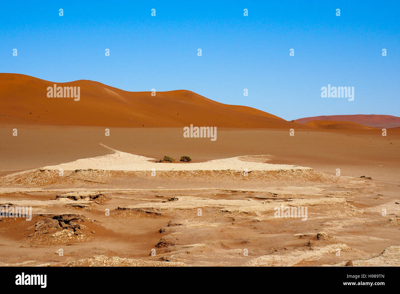 Namib desert landscape, Namibia Stock Photo - Alamy