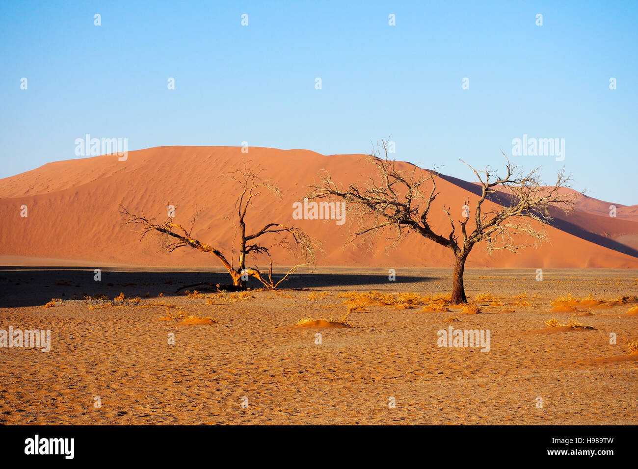 Namib desert landscape namibia hi-res stock photography and images - Alamy