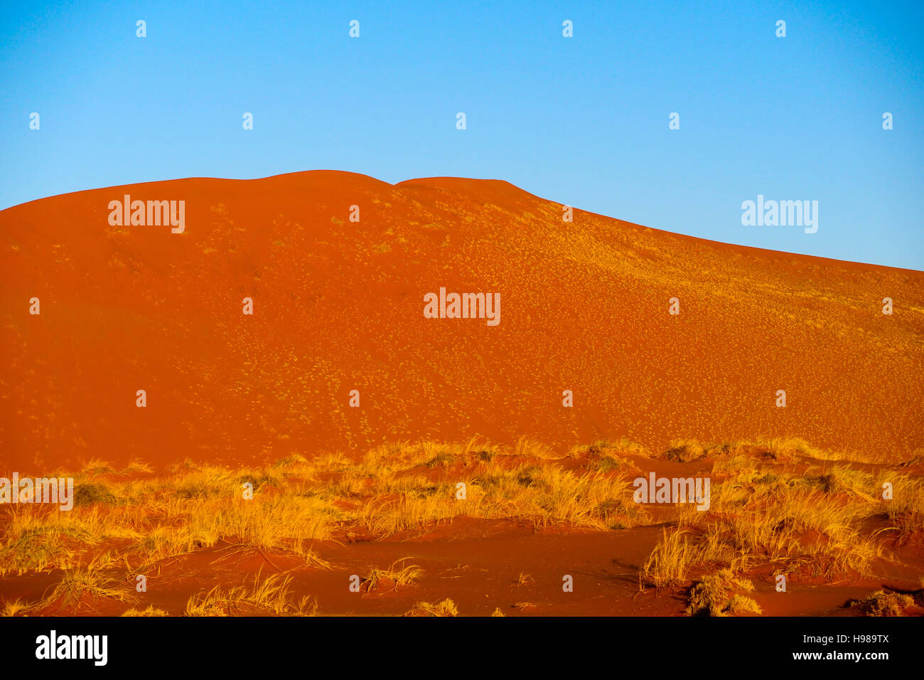 Namib desert landscape, Namibia Stock Photo - Alamy