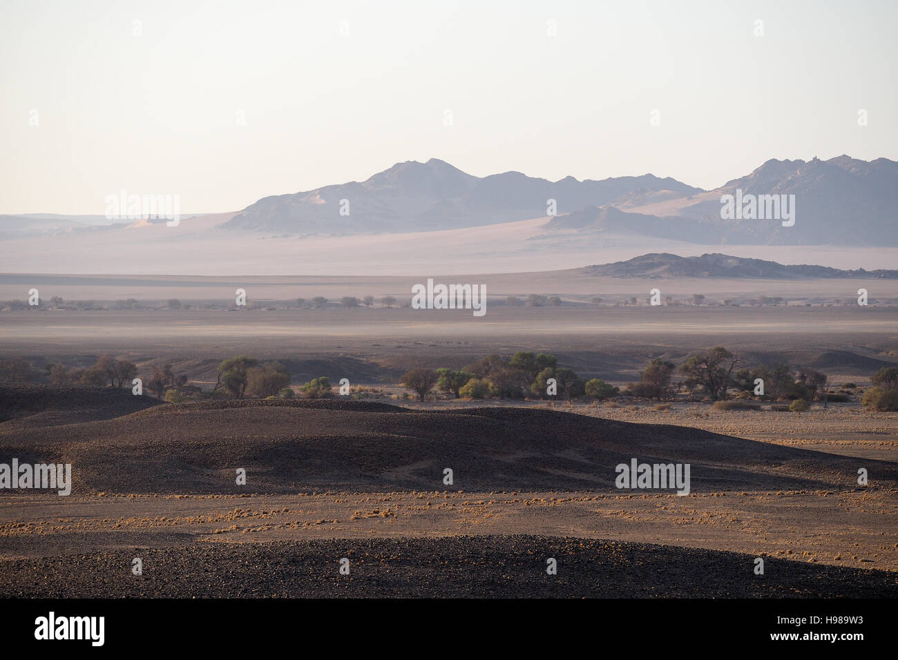 Namib desert landscape, Namibia Stock Photo - Alamy