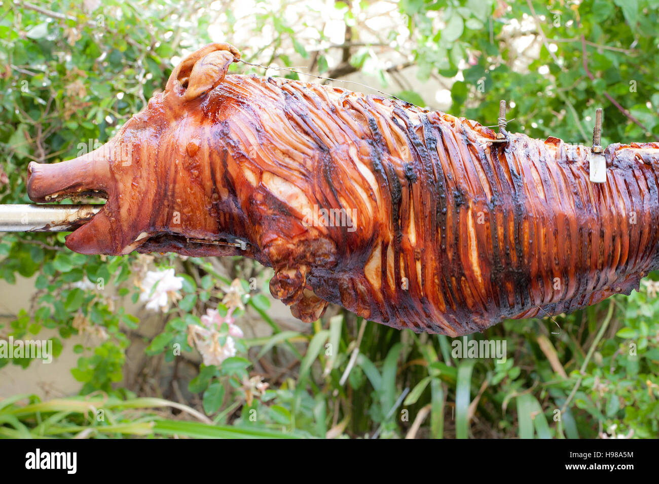 Whole cooked pig hi-res stock photography and images - Alamy