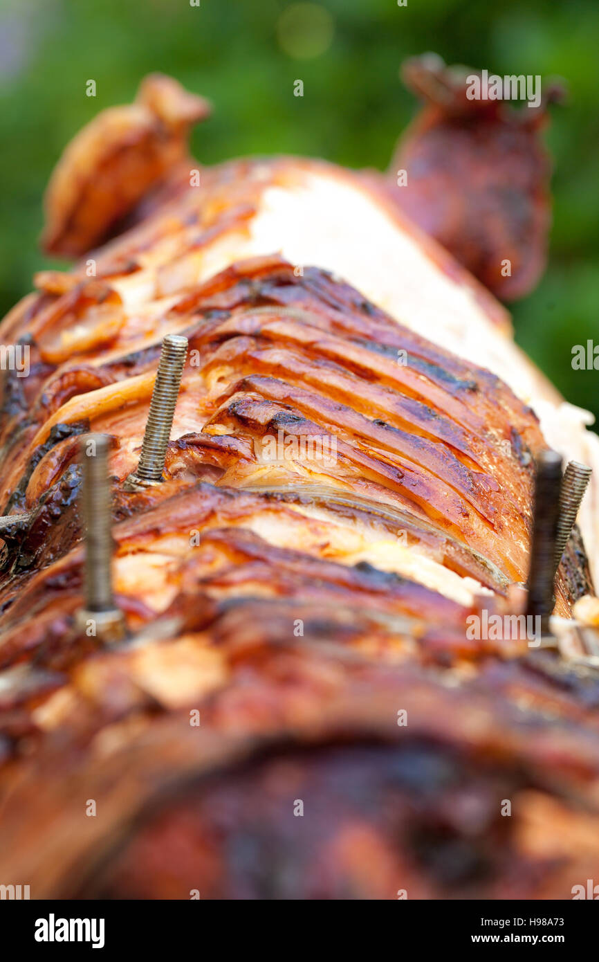 Hog Roast - whole pig cooked over charcoal for a large gathering Stock ...