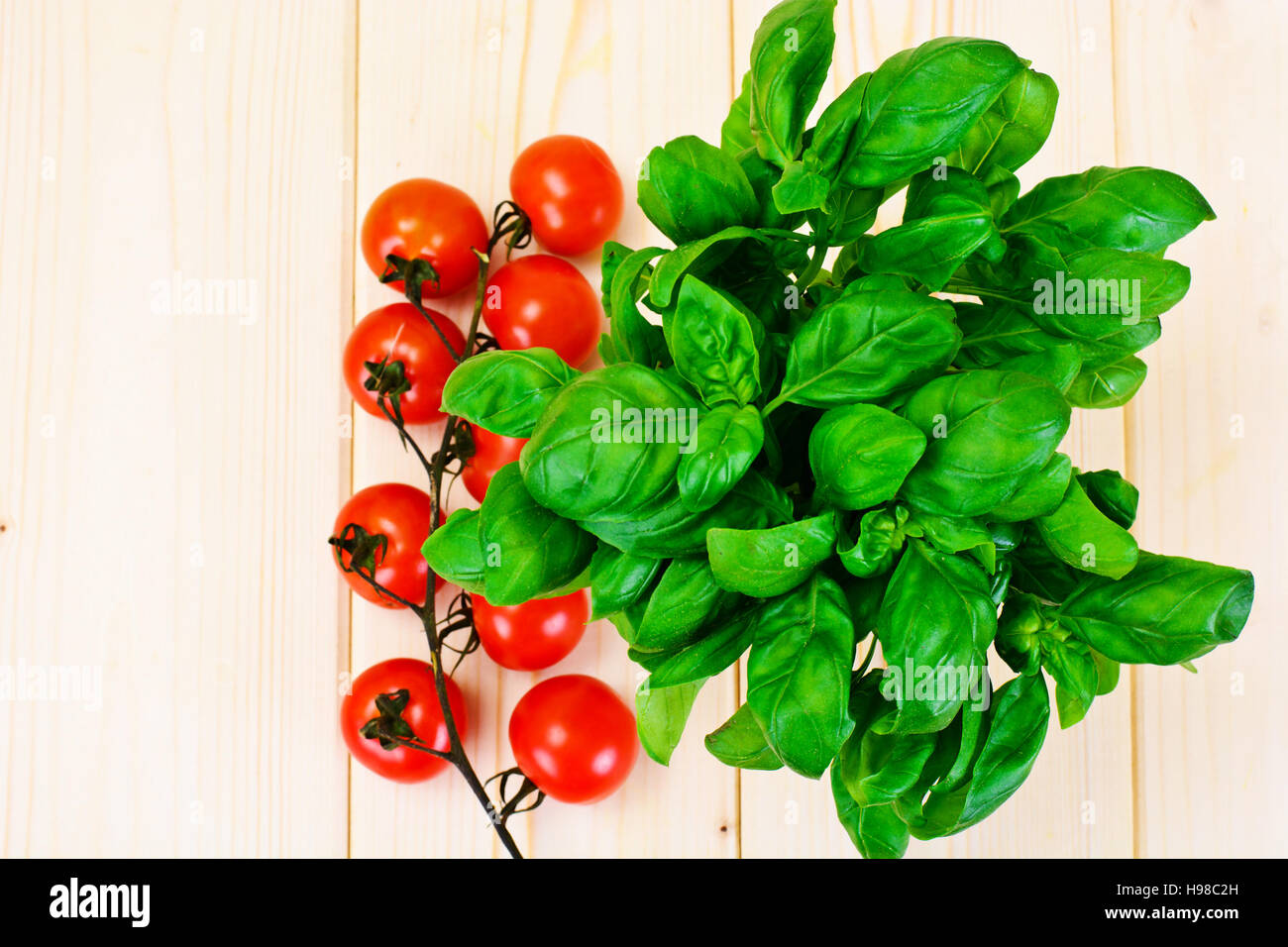 Green Fresh Basil with Tomato Studio Photo Stock Photo - Alamy