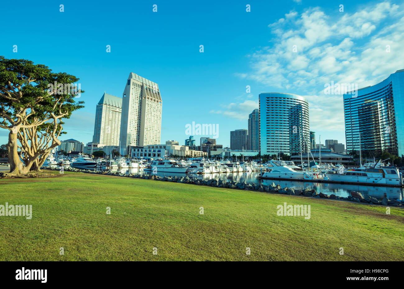 Embarcadero Marina Park And Downtown Buildings Downtown San Diego