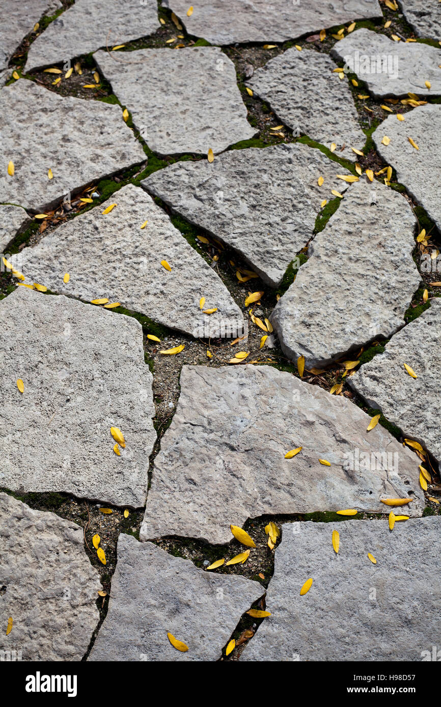 Stepping stone path hi-res stock photography and images - Alamy