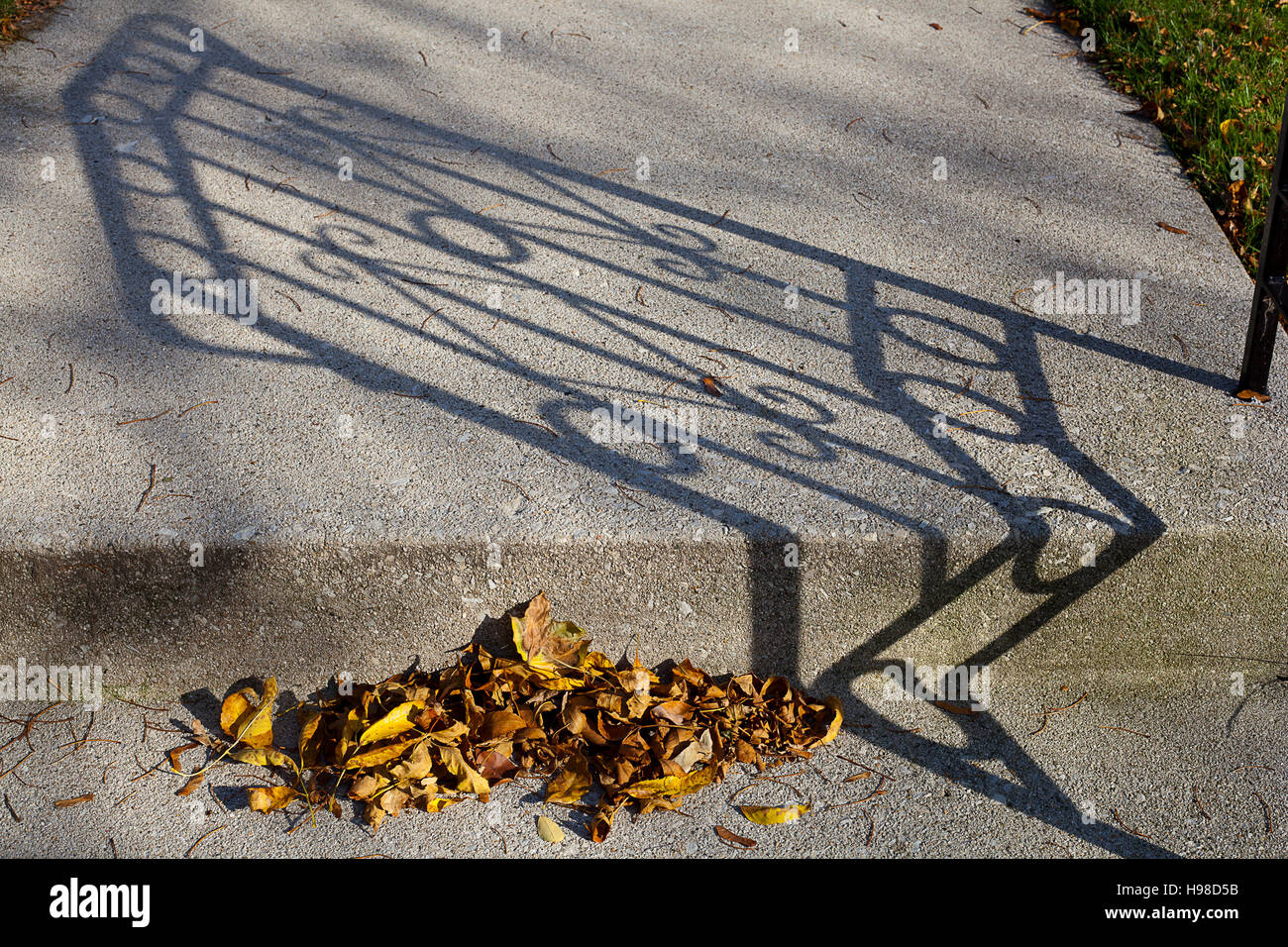 Steps and with autumn leaves and abstract shadow of decorative fence ...