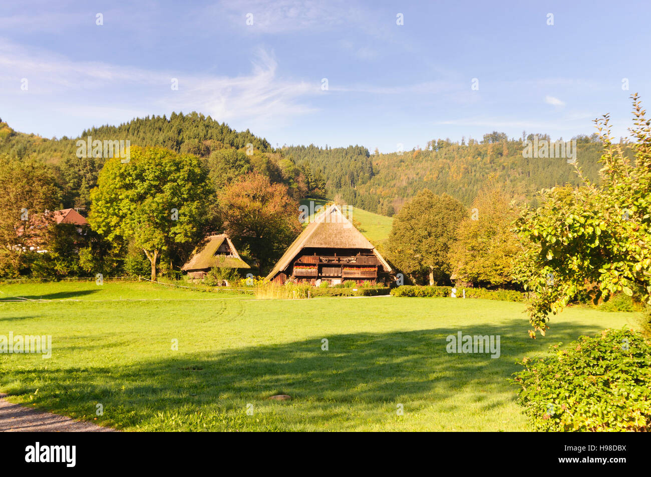 The schwarzwaldbahn black forest hi-res stock photography and images ...