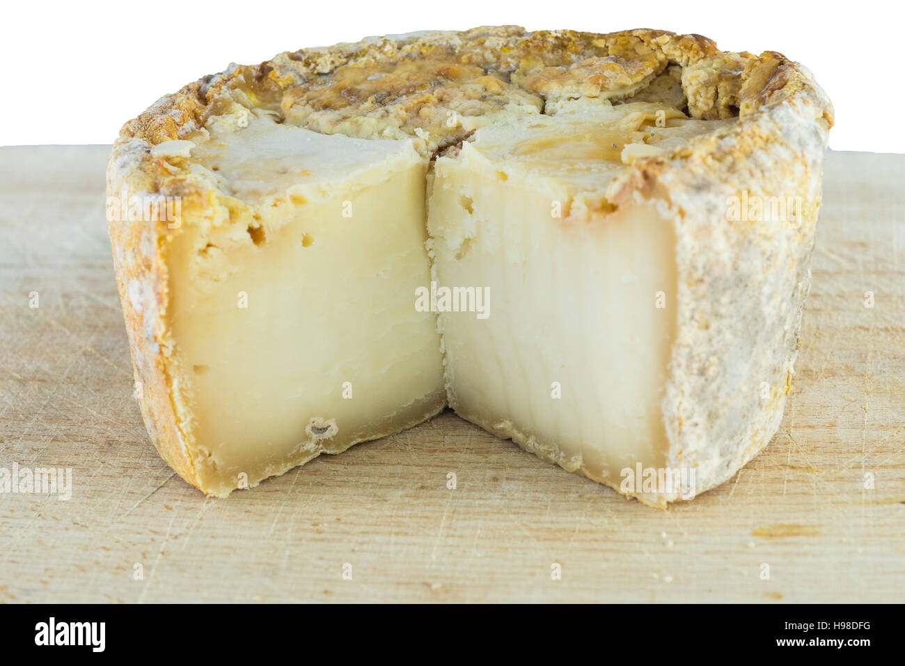 The form of hard cheese of a bloomy rind goat's milk, frost crust ...