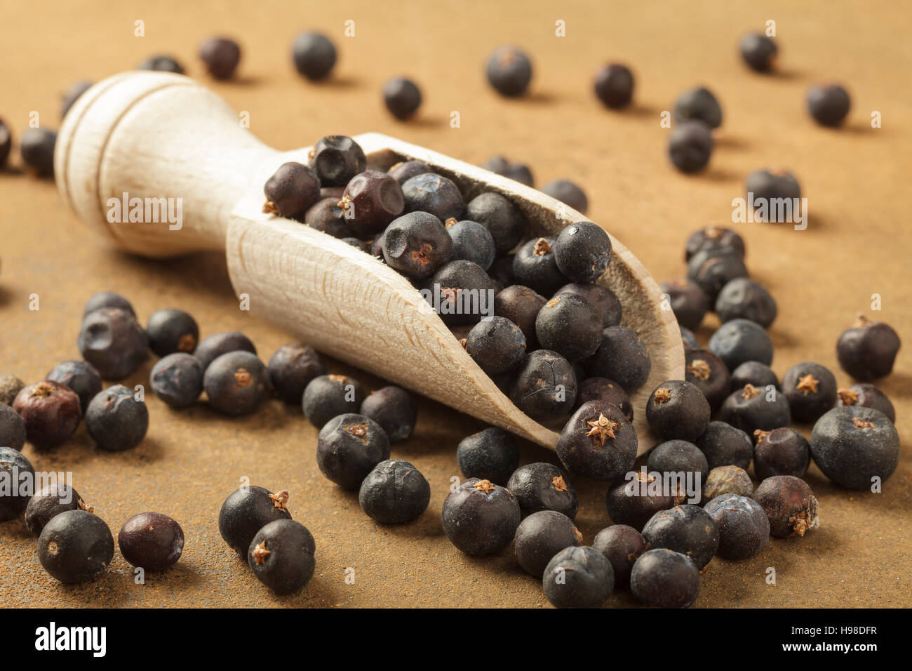 Juniper cone hi-res stock photography and images - Alamy