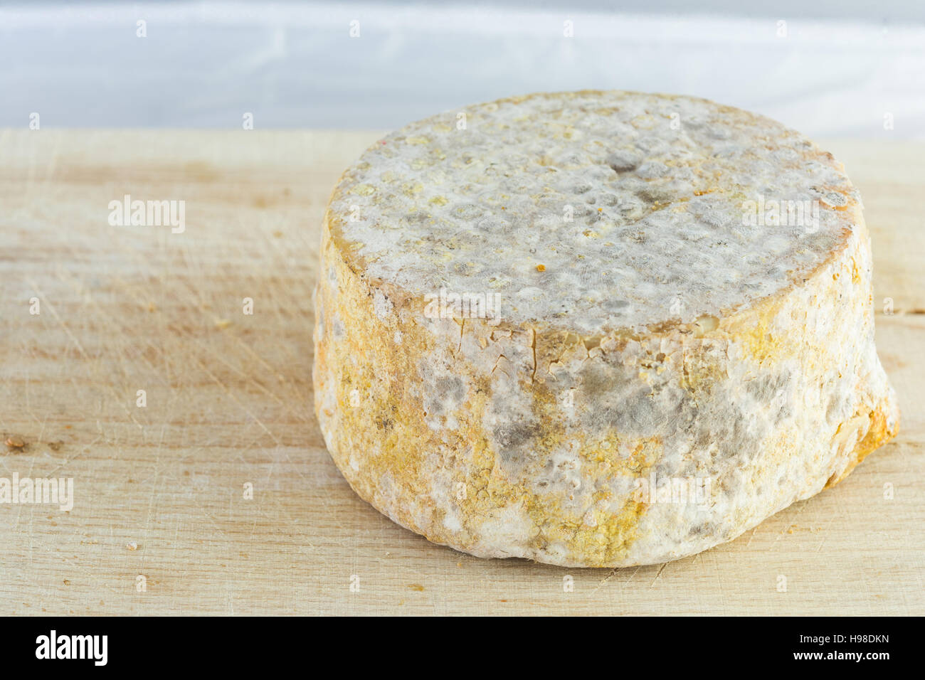 The form of hard cheese of a bloomy rind goat's milk, frost crust ...