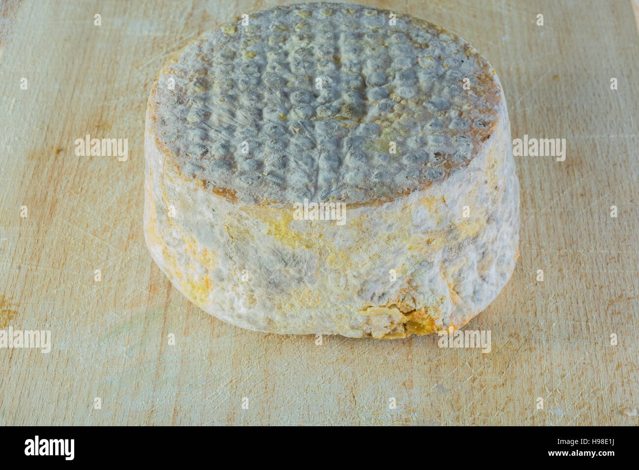 The form of hard cheese of a bloomy rind goat's milk, frost crust ...