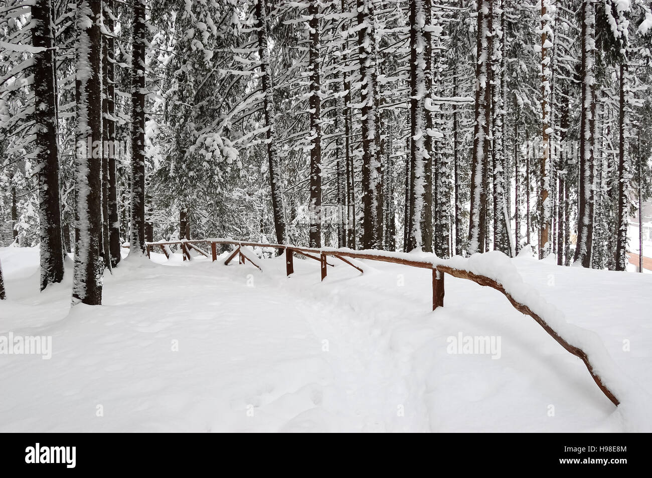 Ski resort jasna slovakia mountain hi-res stock photography and images ...