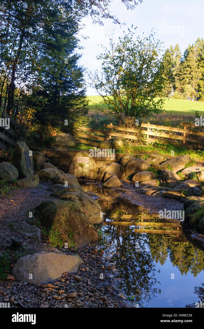 Furtwangen im Schwarzwald: Source of stream Breg, a source of the ...