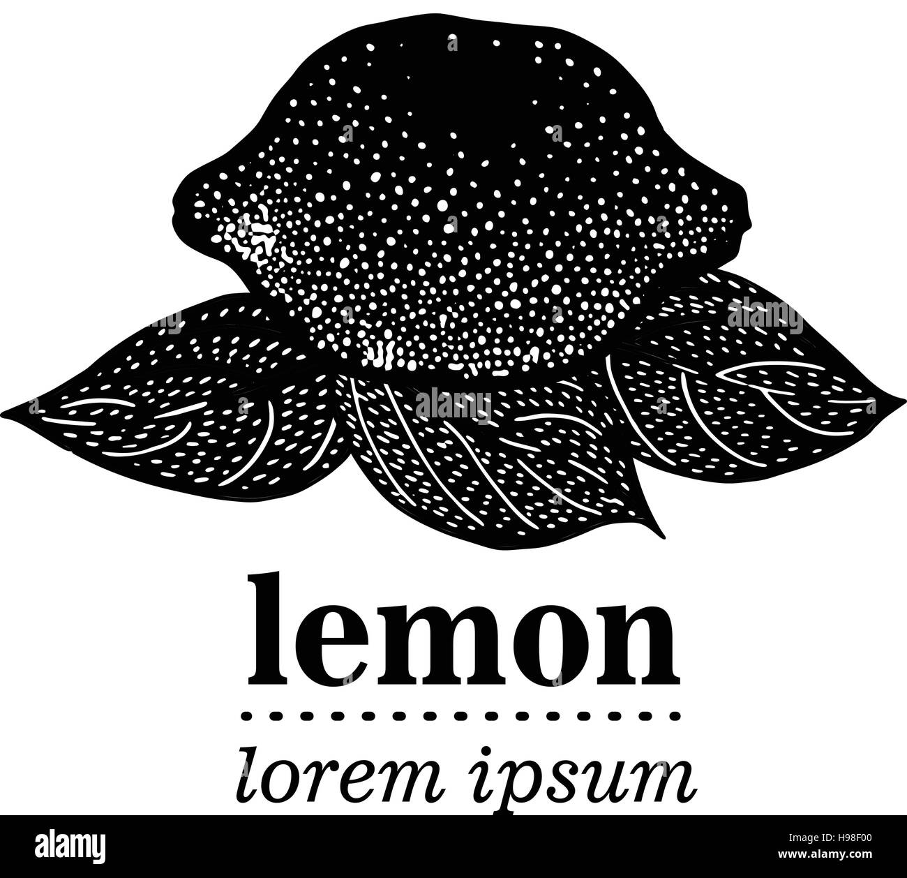 Vintage illustration of Lemon Fruits. Leaves Lemon Vector logo Stock ...