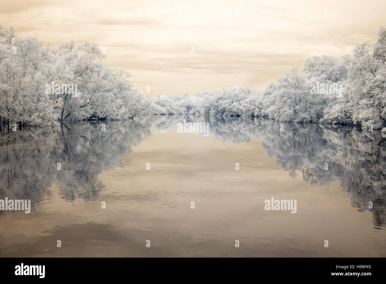 Infrared (IR) landscape, Sungei Buloh Wetlands Reserve, Sinagpore Stock ...