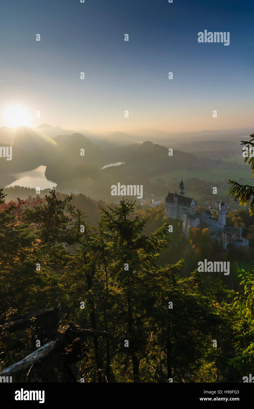 Neuschwanstein castle and lake alpsee hi-res stock photography and ...