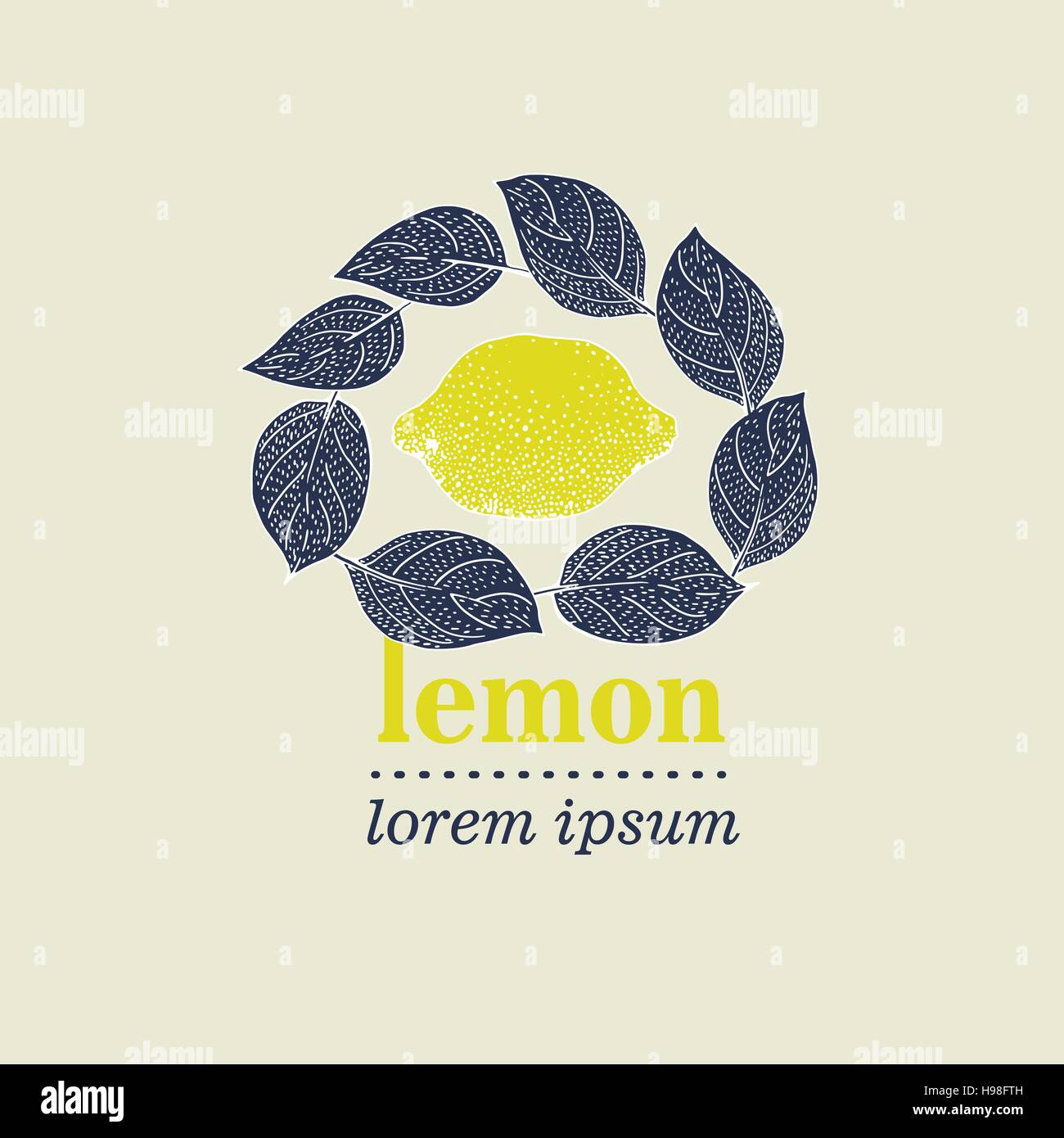 Vector illustration of Lemon Leaves Stock Vector Image & Art - Alamy